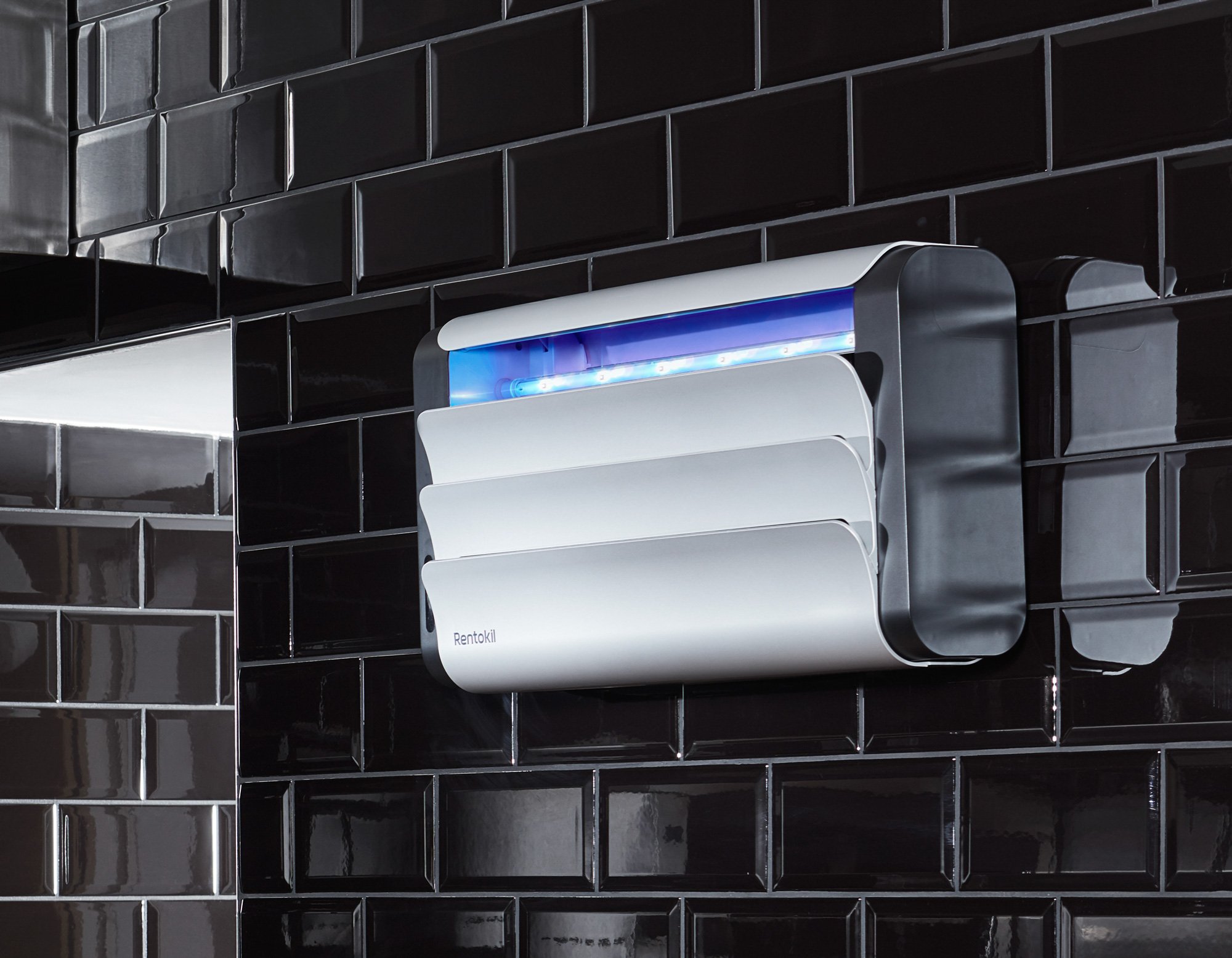 Termite Corrective Treatment